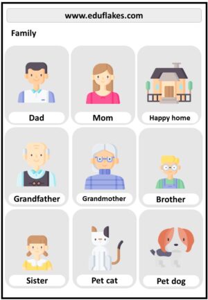 Family Flashcard - eduflakes