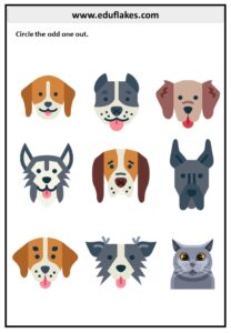 Free Visual Discrimination Worksheets PDF