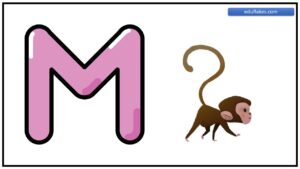 Kindergarten Alphabet Letter Activities Preschool - Eduflakes