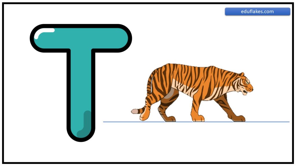 Kindergarten Alphabet Letter Activities Preschool - Eduflakes