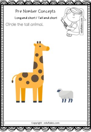 Pre number concept worksheets - eduflakes