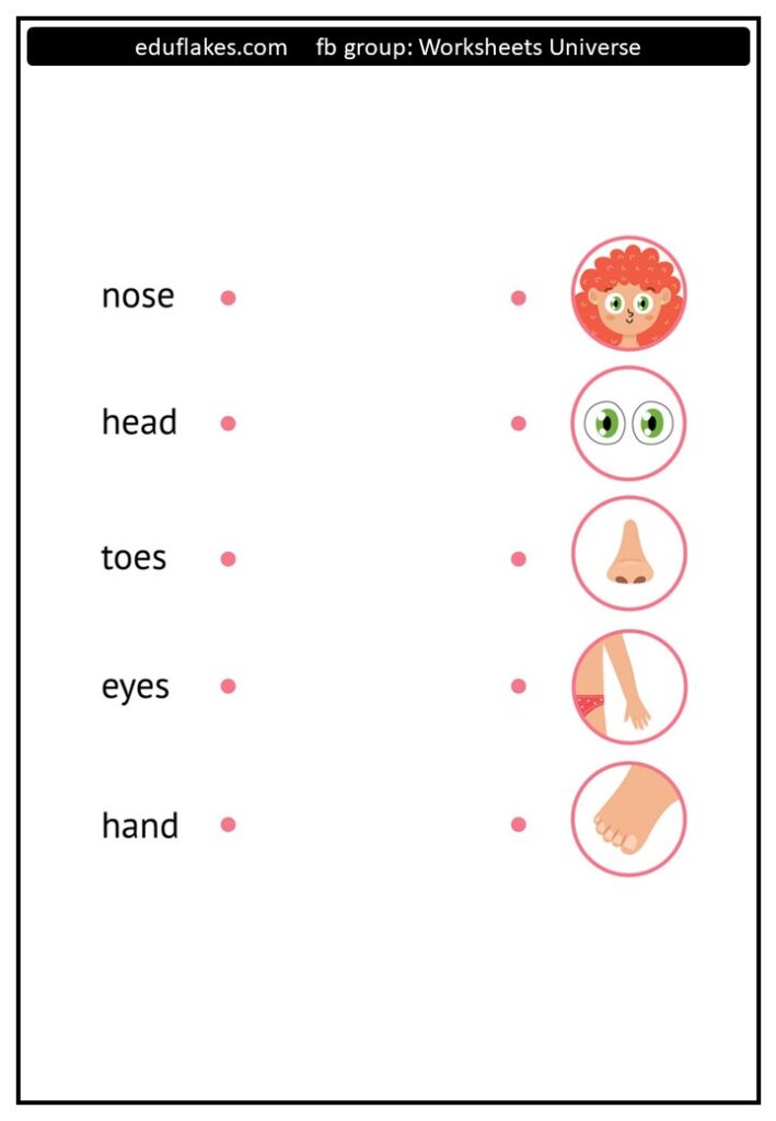 Kindergarten My Body Parts Worksheets - Eduflakes