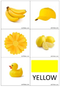 Color Matching Flashcards - Eduflakes