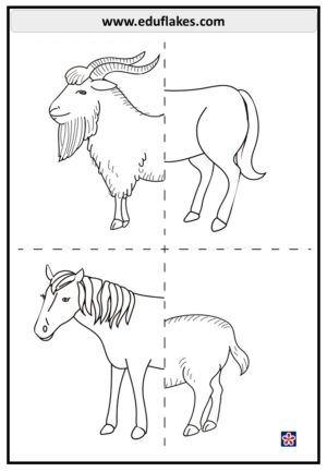 Match the farm animals - eduflakes