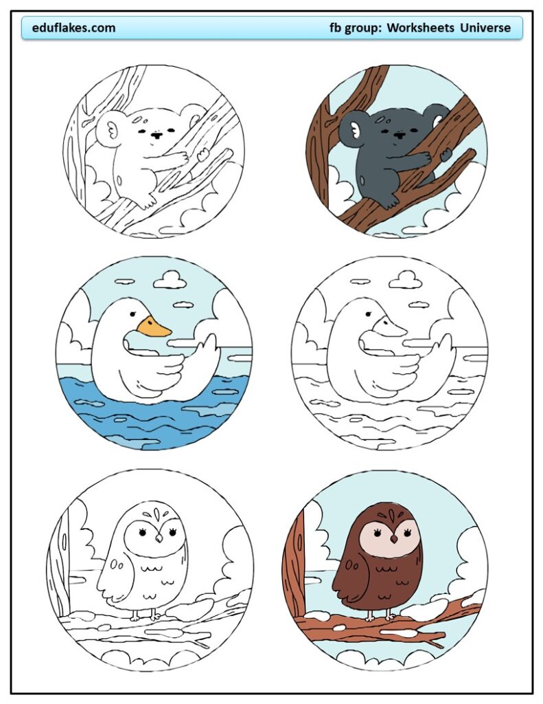 Kindergarten Coloring Book - Animal Theme - Eduflakes