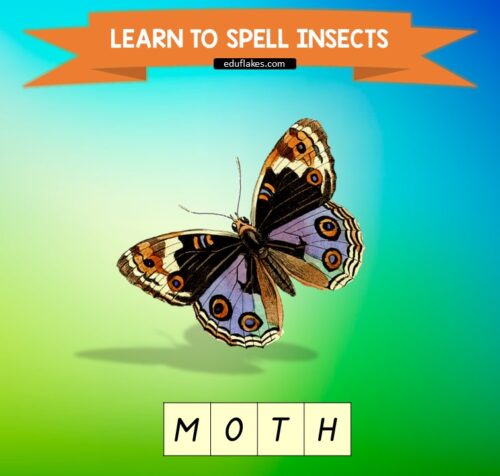 Kindergarten Insects Bugs Theme Unit Printables - Eduflakes