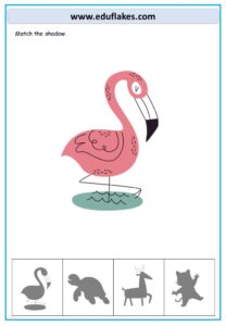 Kindergarten Shadow Matching Activity Workbook - Eduflakes