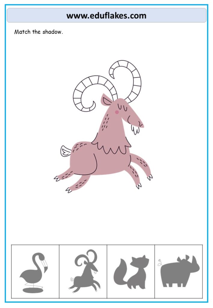 Kindergarten Shadow Matching Activity Workbook - Eduflakes