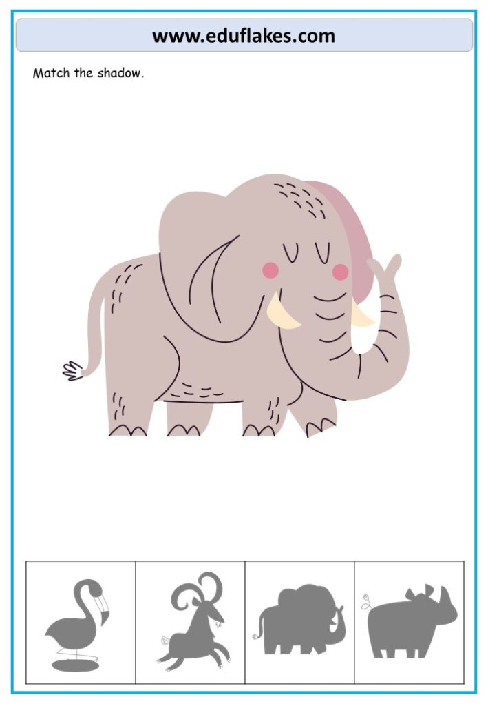 Kindergarten Shadow Matching Activity Workbook - Eduflakes
