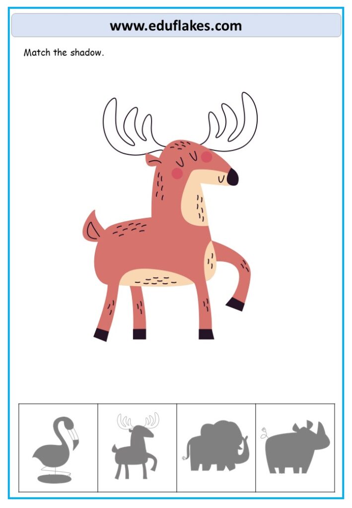 Kindergarten Shadow Matching Activity Workbook - Eduflakes