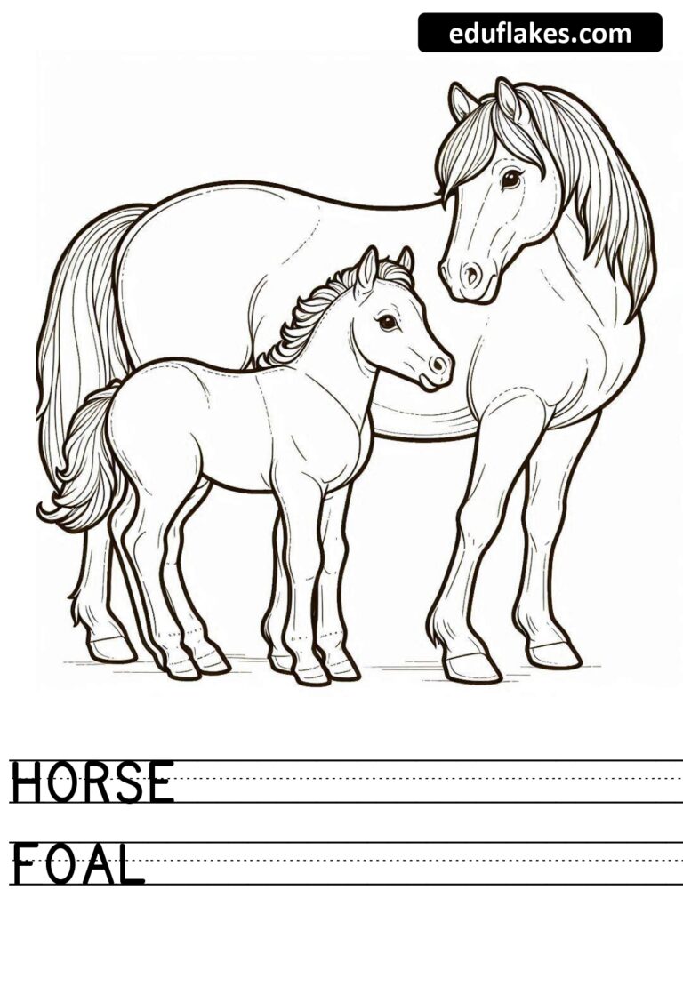 20 Animals And Its Young Ones - Eduflakes