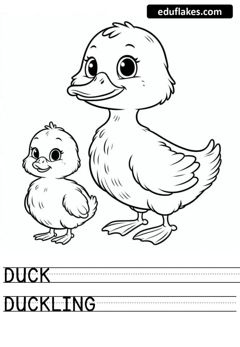 20 Animals And Its Young Ones - Eduflakes