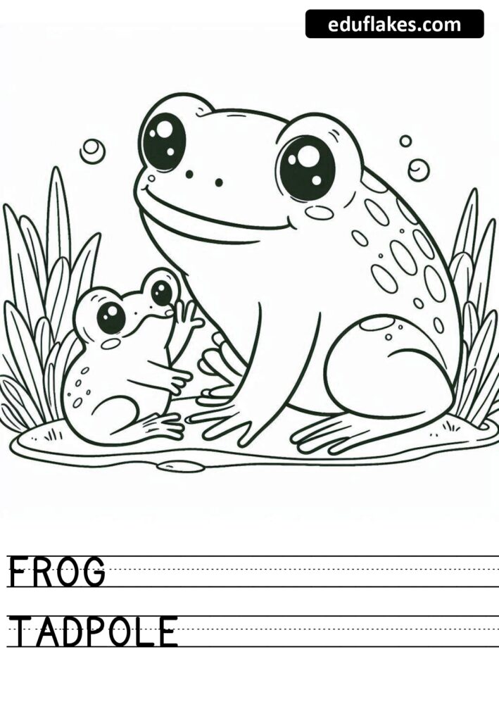 20 Animals And Its Young Ones - Eduflakes